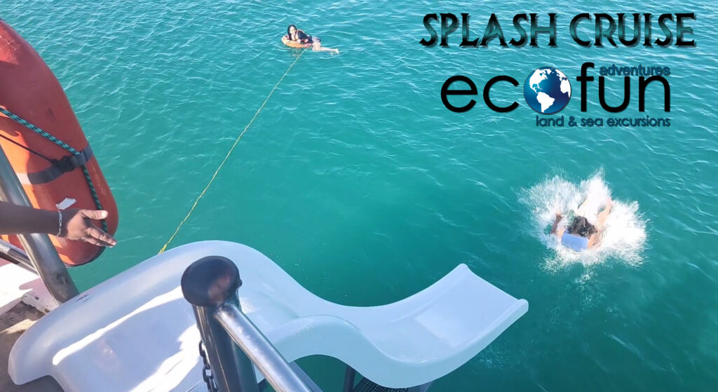 SPLASH CRUISE - Eco Fun Adventures