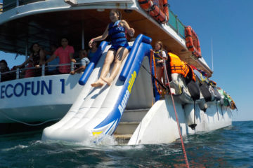 Home - Eco Fun Adventures