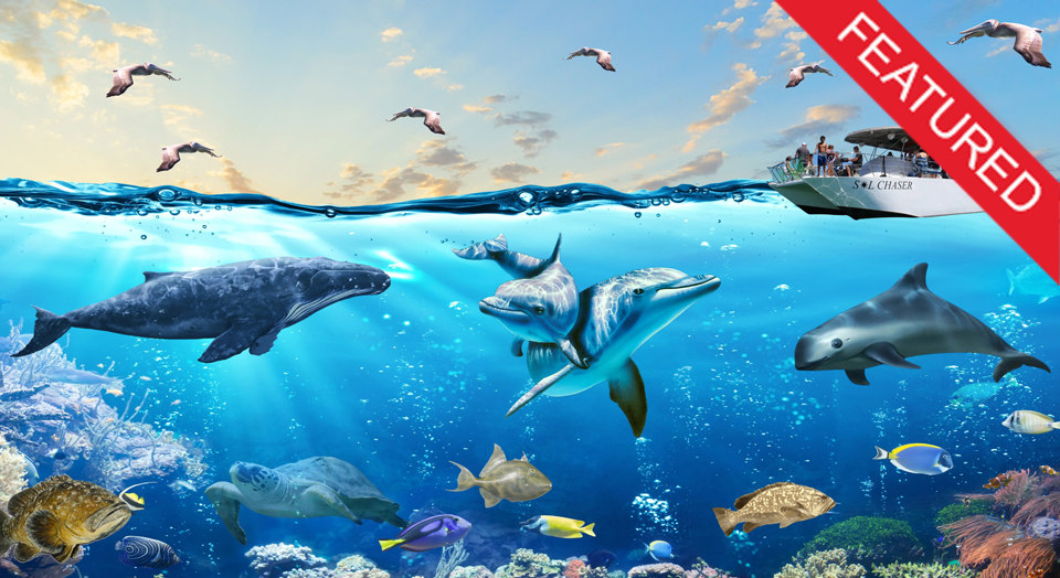 Home - Eco Fun Adventures